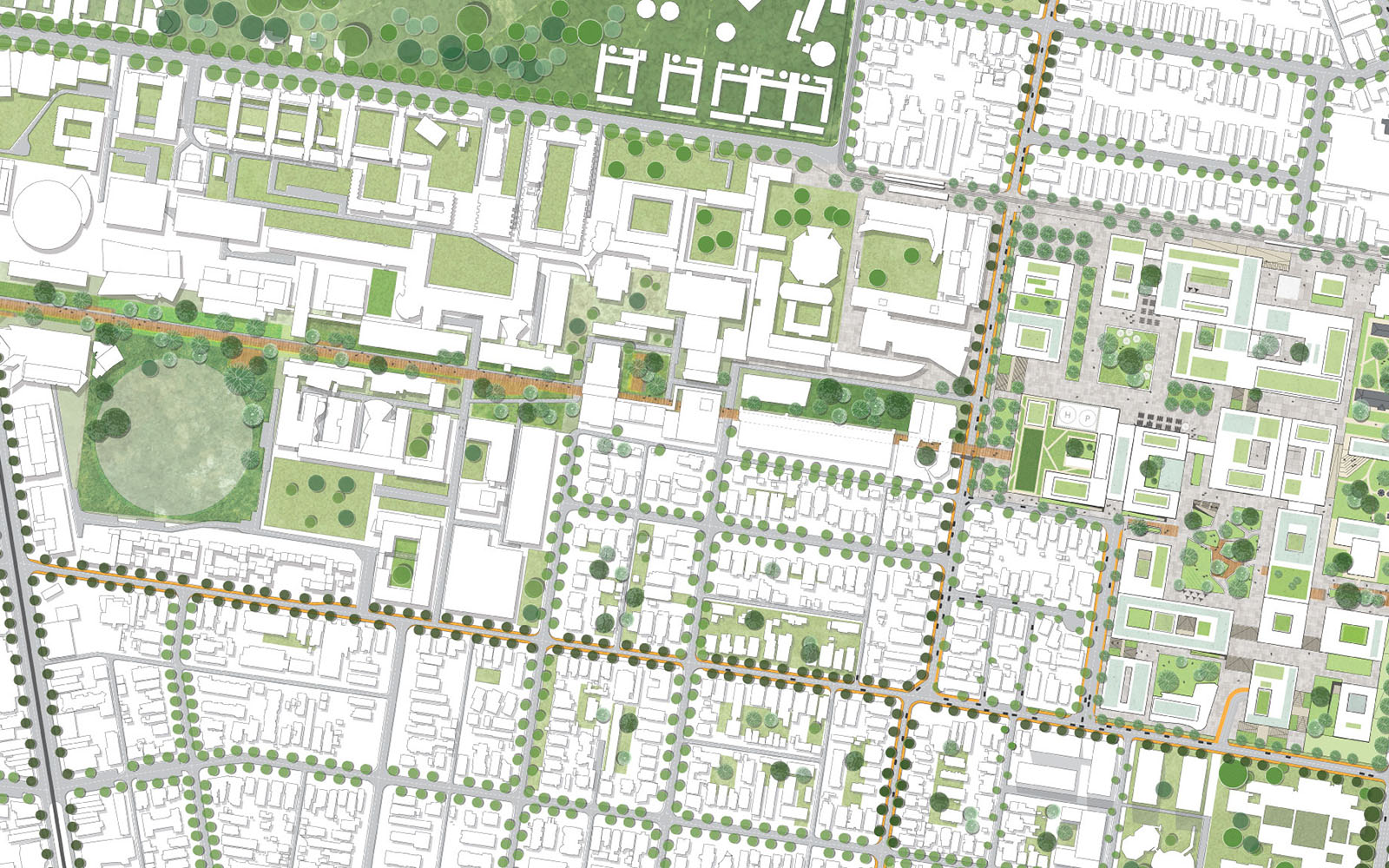 Greater Randwick | Urban Masterplan - Terroir